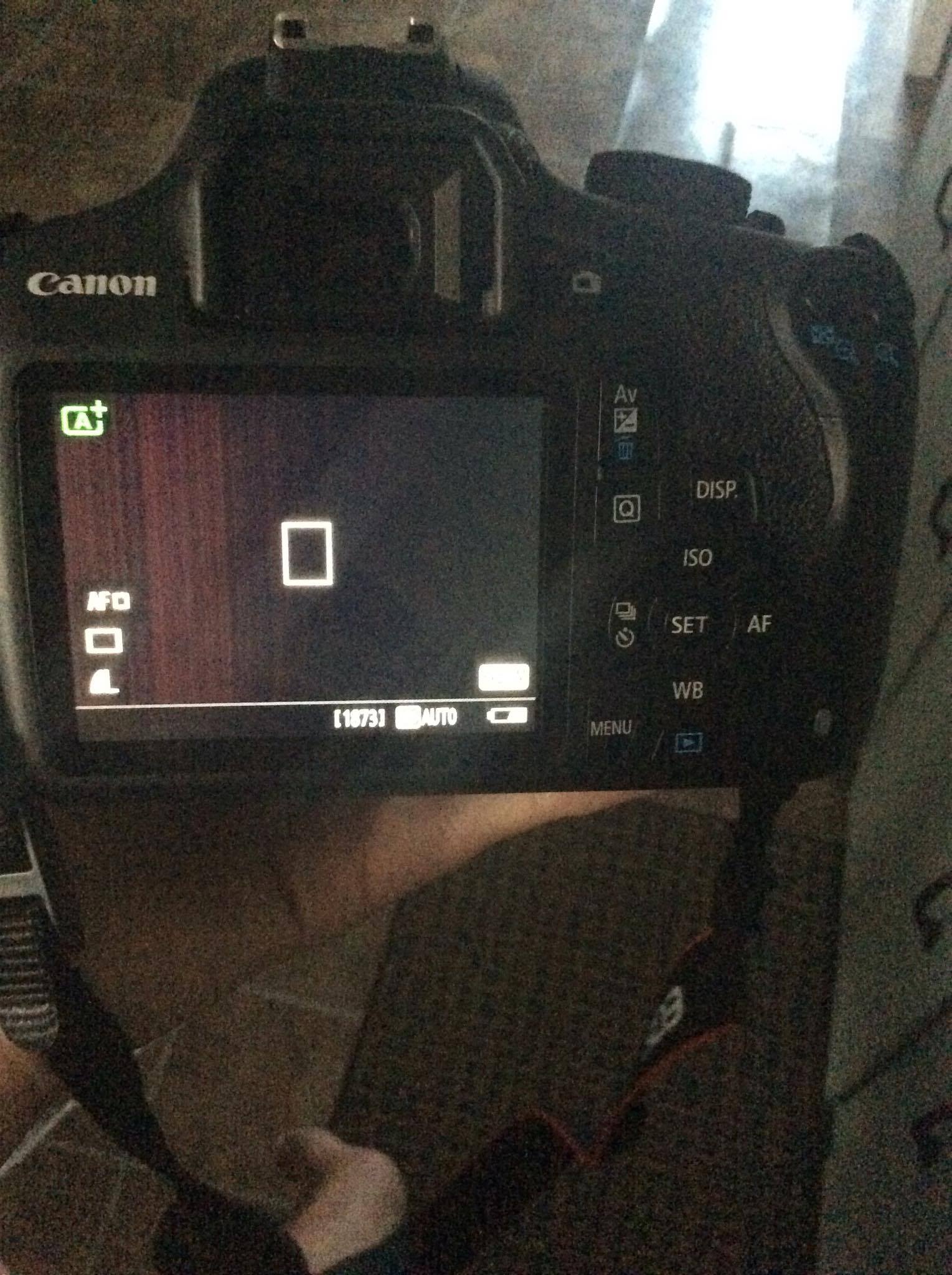 Canon Rebal T5 LCD screen not showing picture. - Canon Community