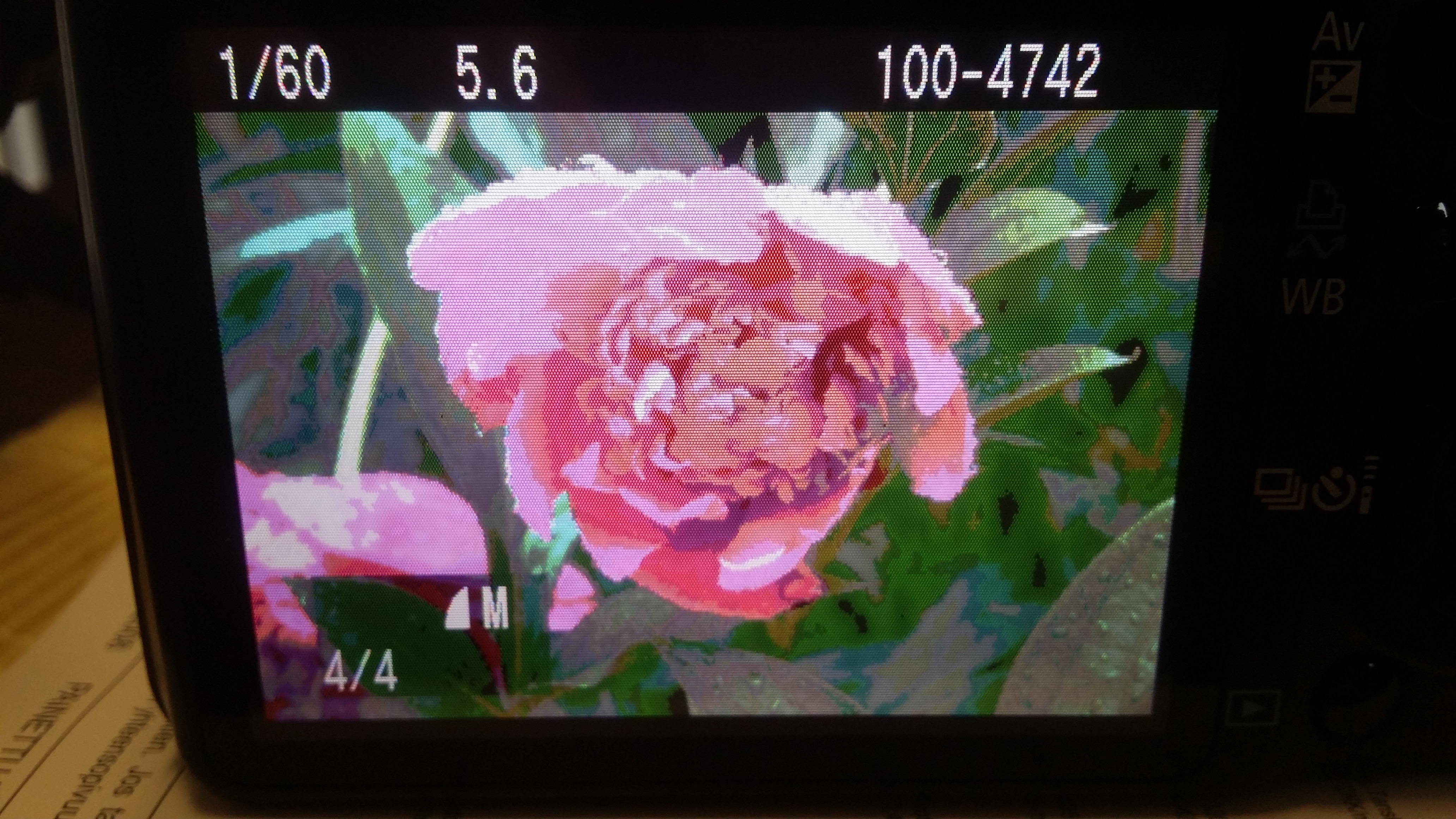 Canon EOS, weird colors of LCD screen - Canon Community