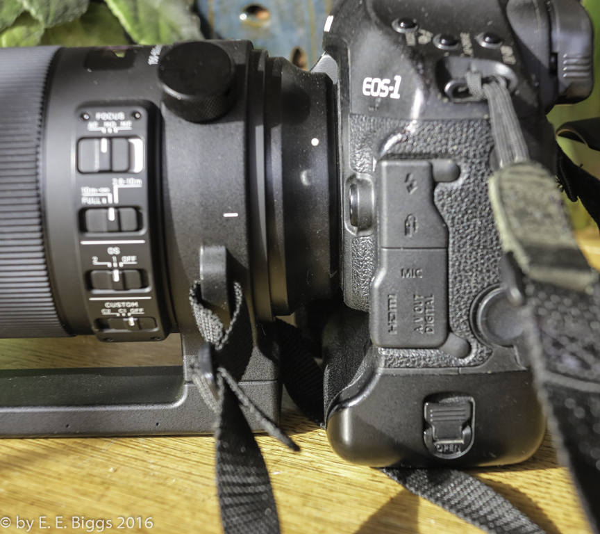 Accidental Lens Release - Canon Community