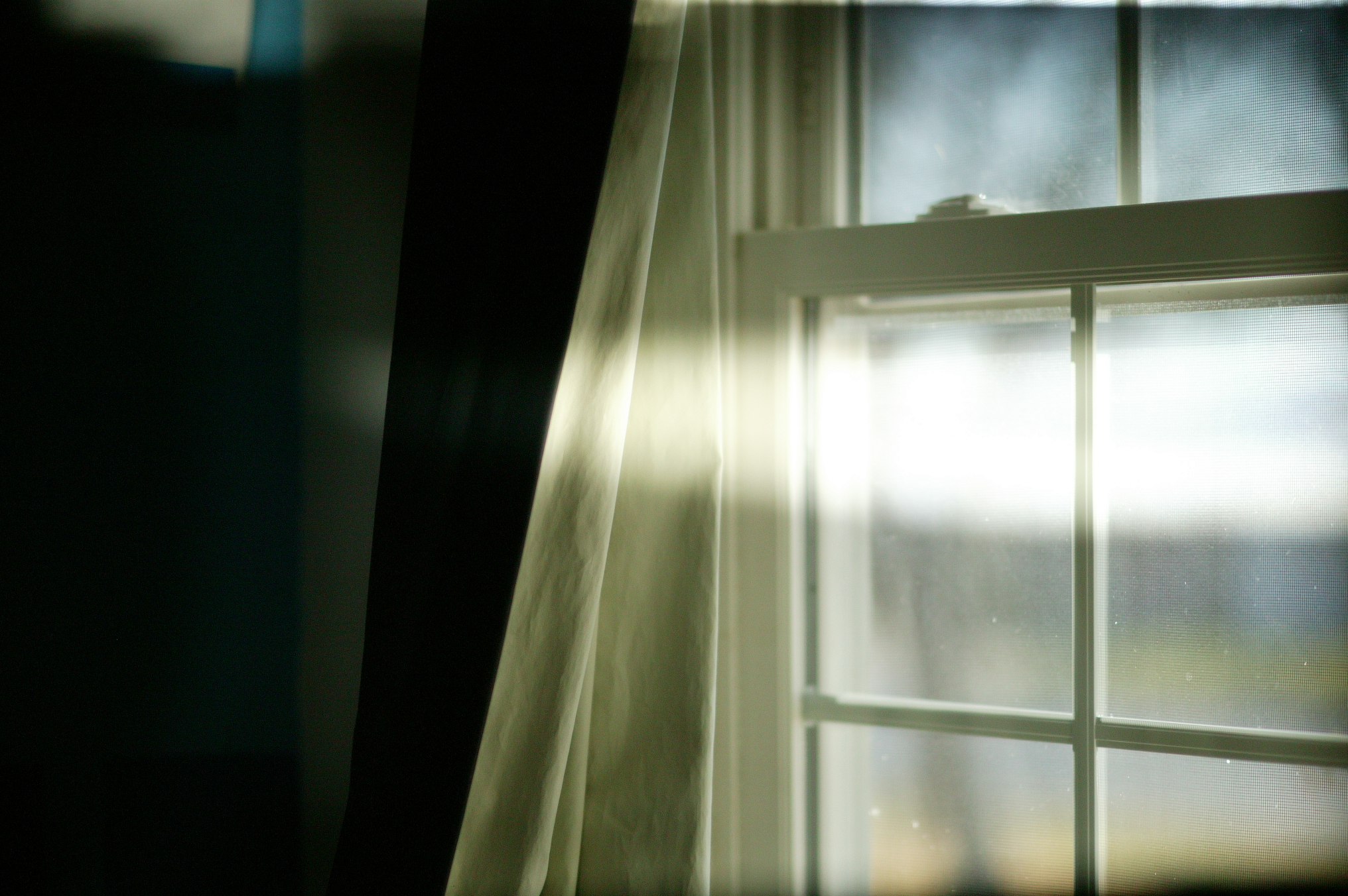 White blurry line on photos 1Ds - Canon Community