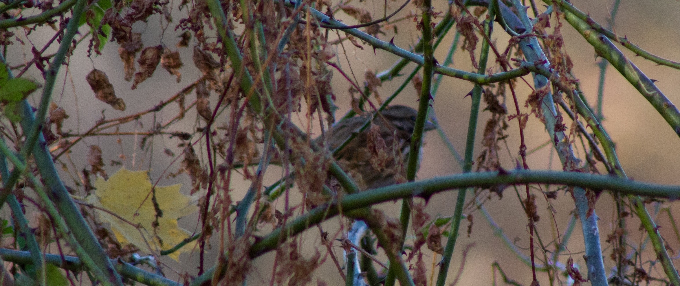 Show Your Most Difficult Picture You Have Yet Tak... - Page 3 - Canon ...