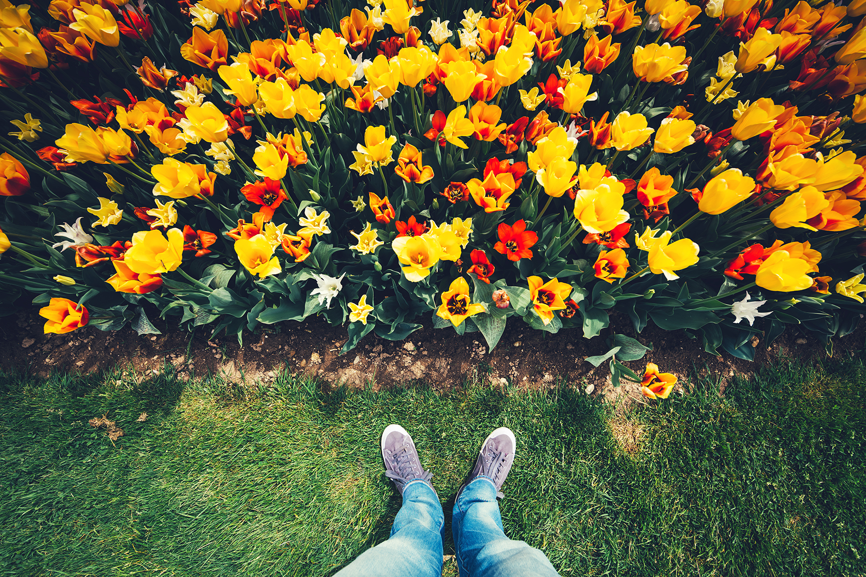 Share your Spring photos! - Canon Community