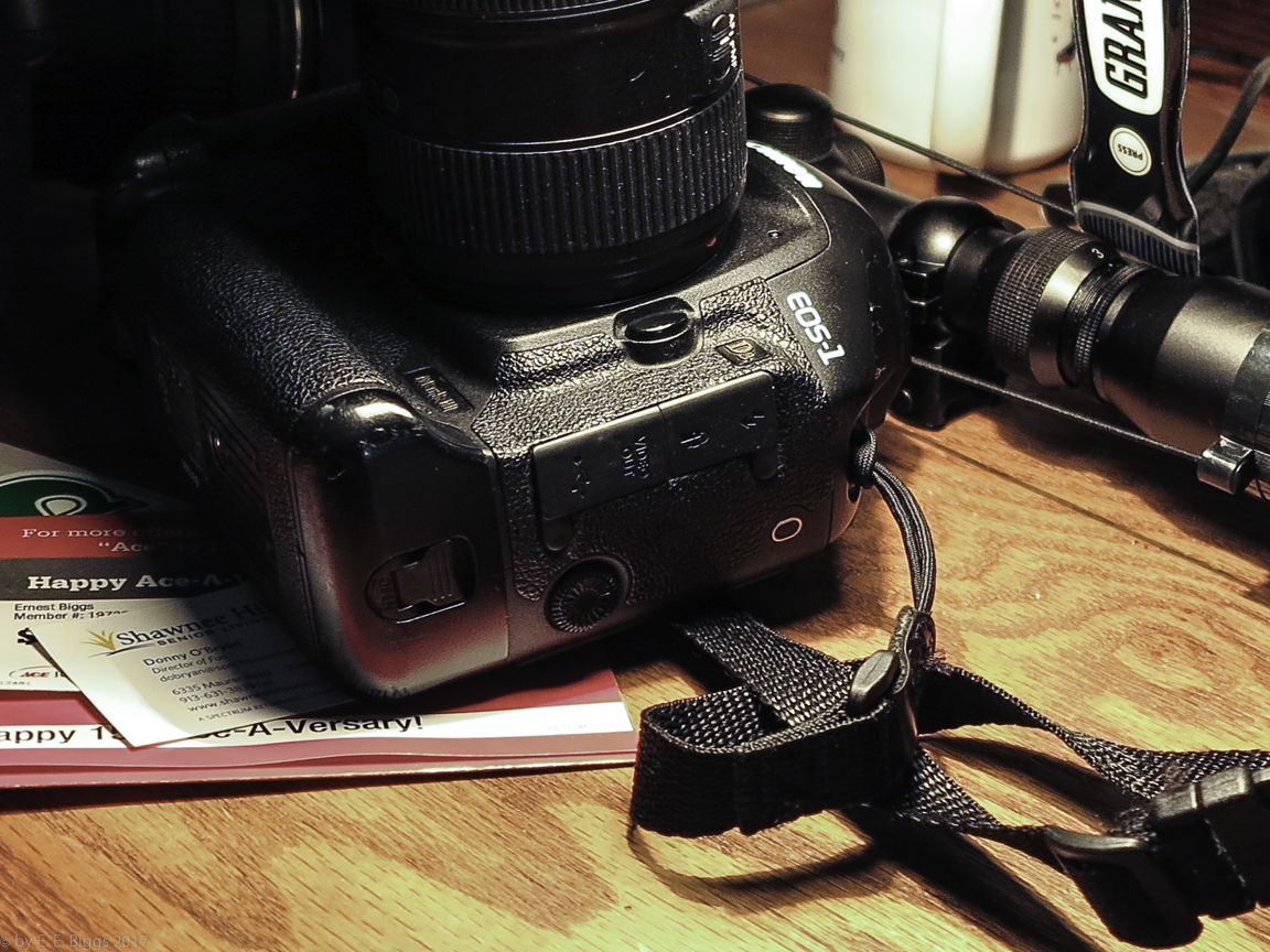 Accidental Lens Release - Canon Community