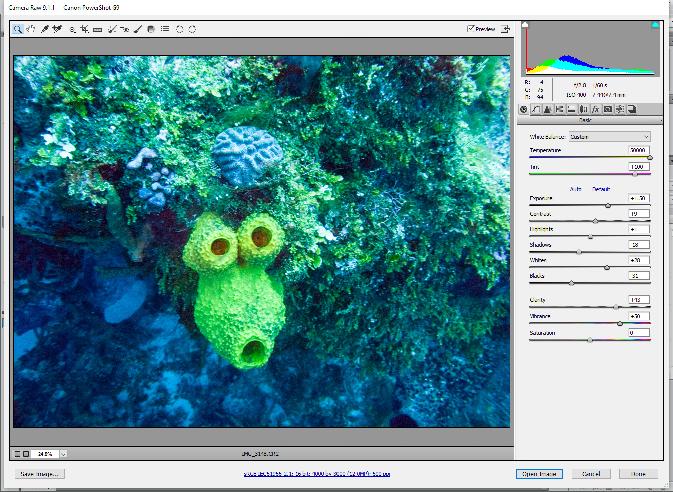 Solved: Adjusting color balance in camera? - Canon Community