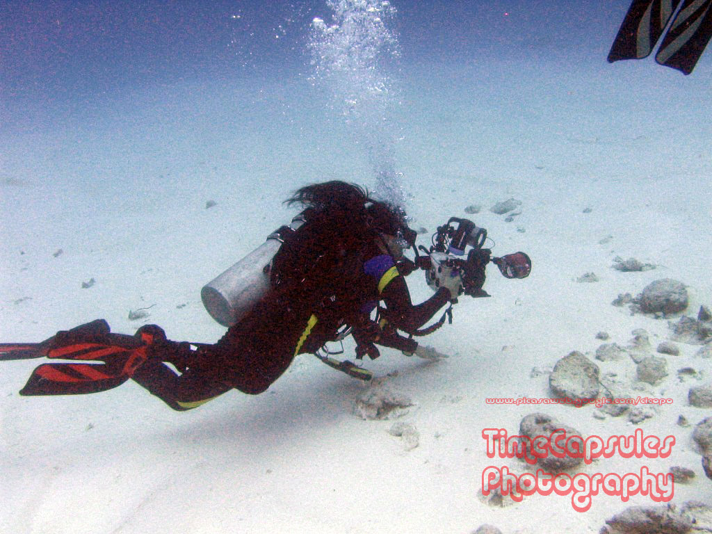 Underwater Photography - Canon Community