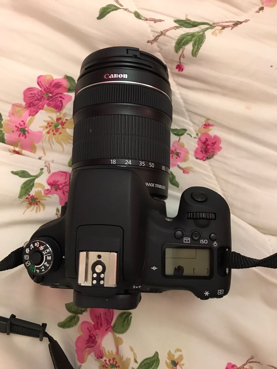 LCD Panel black spot - Canon Community