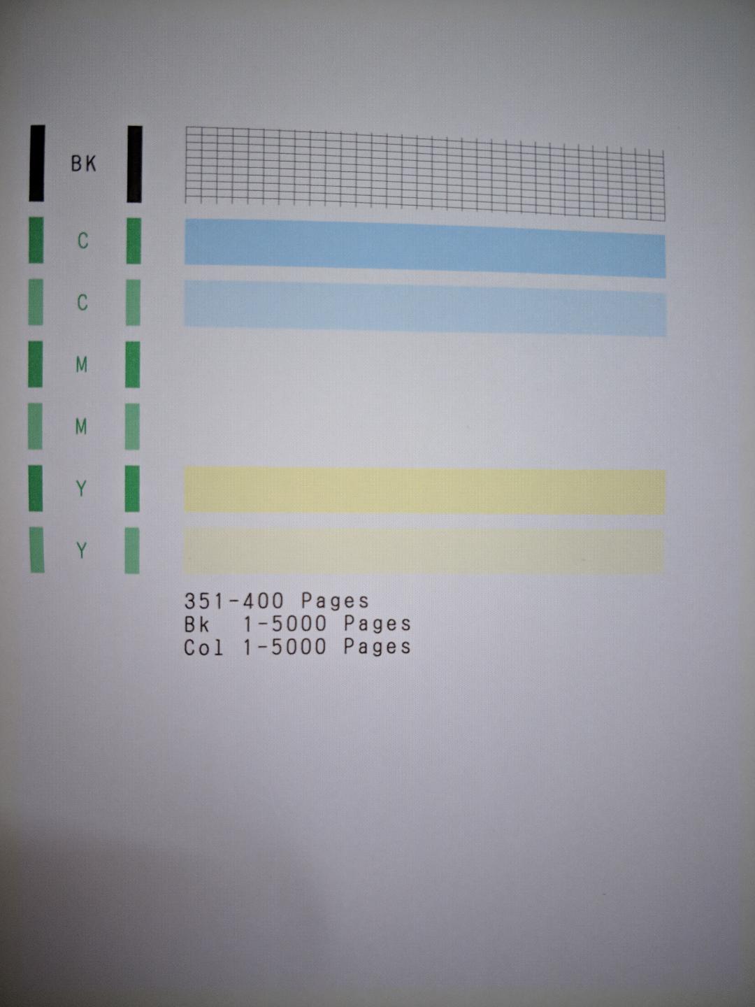 Green Tint in Canon Pixma G1000 - Canon Community