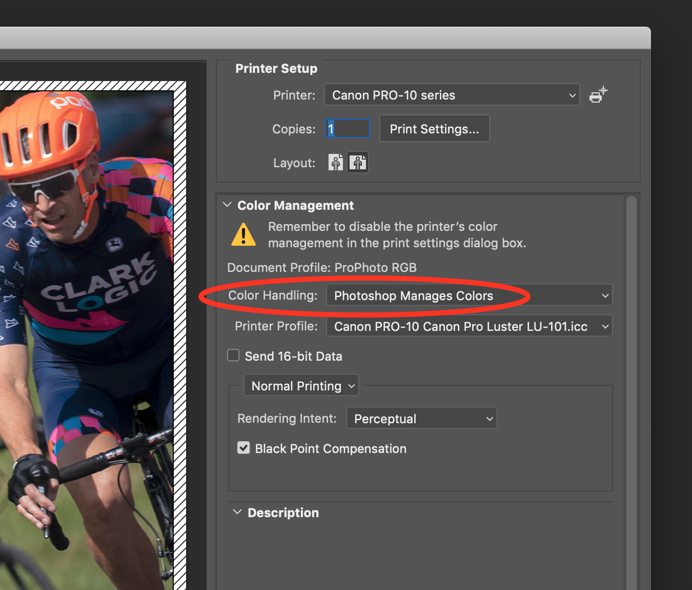 Pro-10 ICC Profiles on Mac - Canon Community