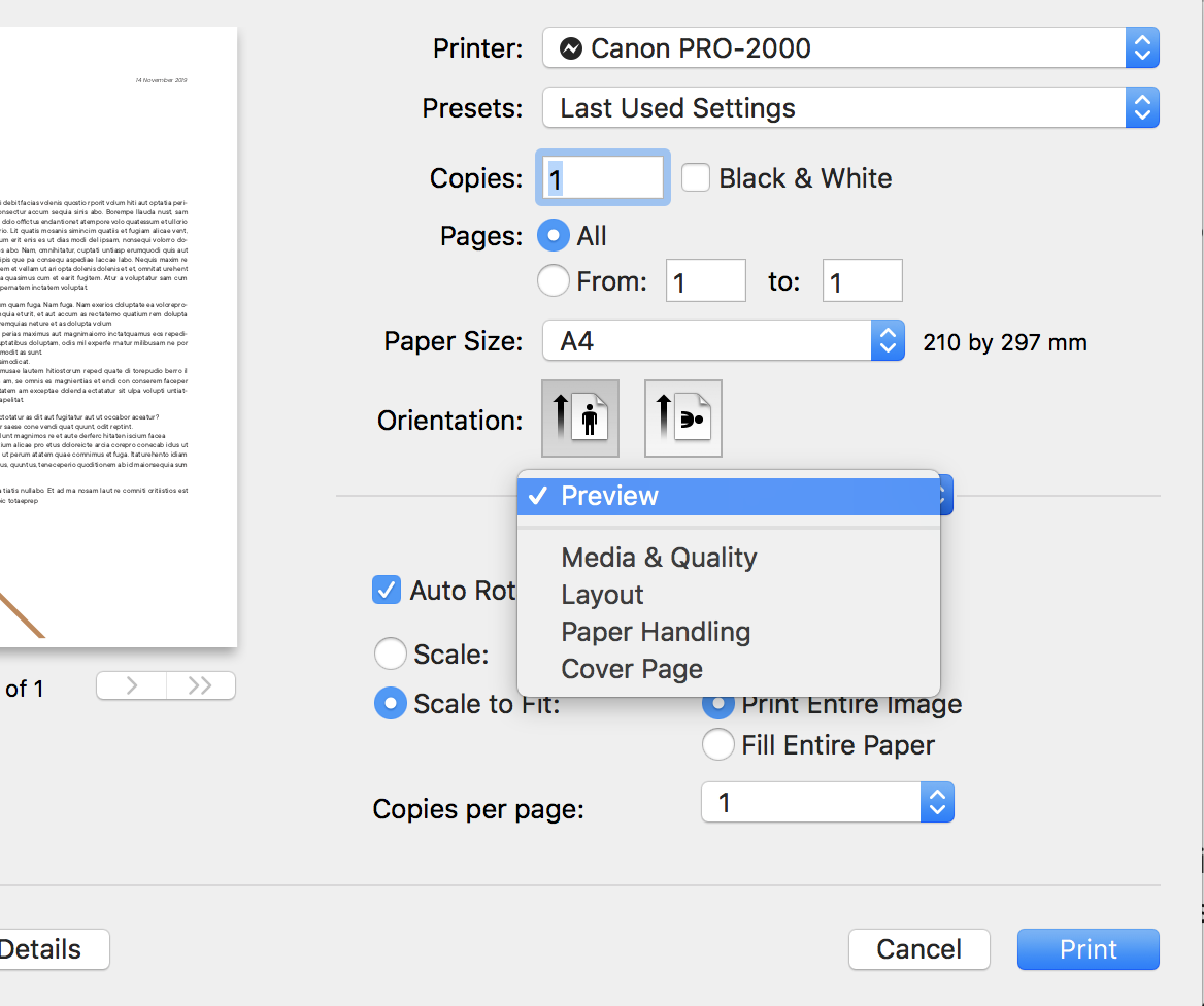 Canon Pro 2000 Print setup - Canon Community