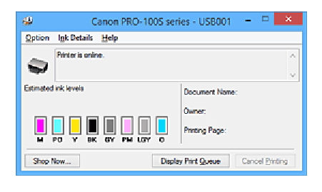 Solved: Canon Pixma Pro-100 - Canon Community