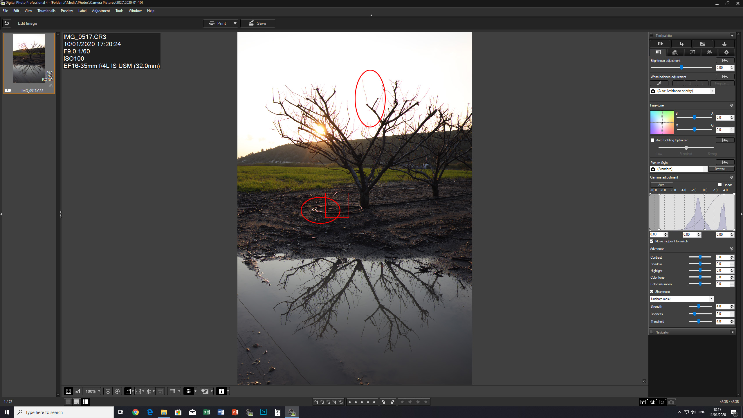 Solved: EOS R rendition with DPP - Canon Community