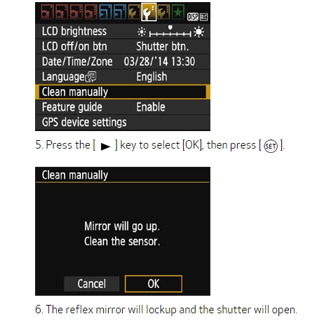 (Canon Rebel T5) Smudge on Sensor (I can't find "c... - Canon Community