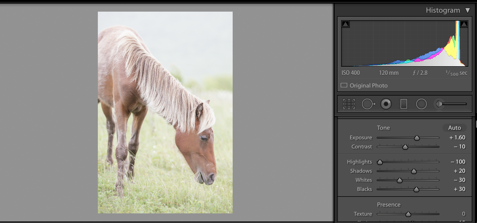 Solved: Advice Appreciated: 5D Mark III Auto Focusing Issu... - Page 2 ...