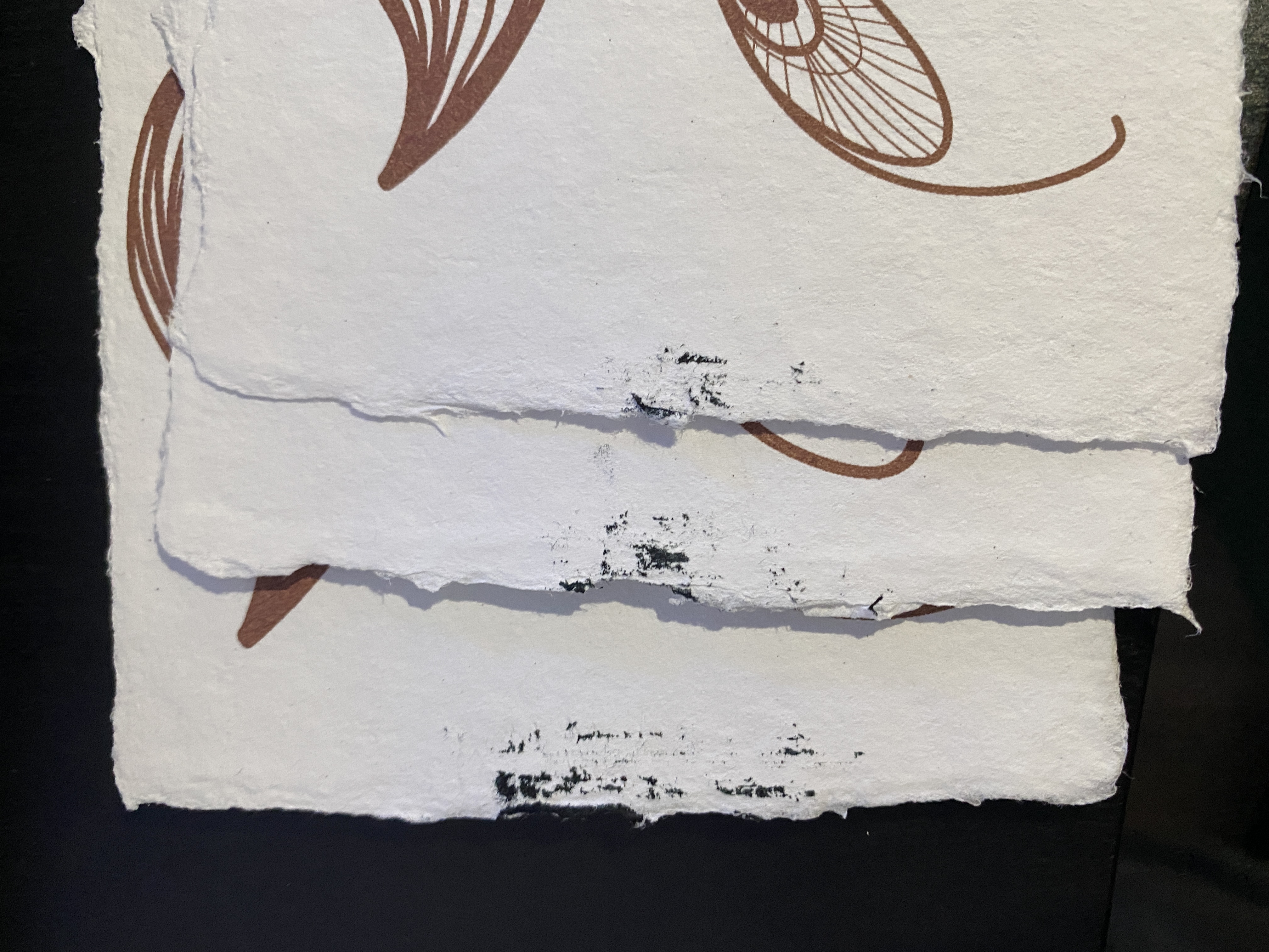 Solved: CANON PIXMA LEAKING INK - Canon Community