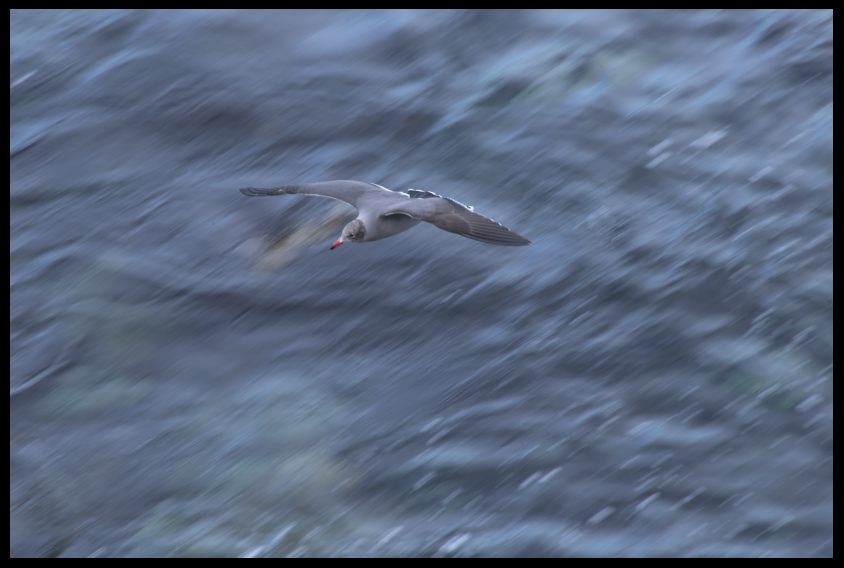 OVF vs EVF, R6 vs 5D Mk IV, wedding ... - Canon Community