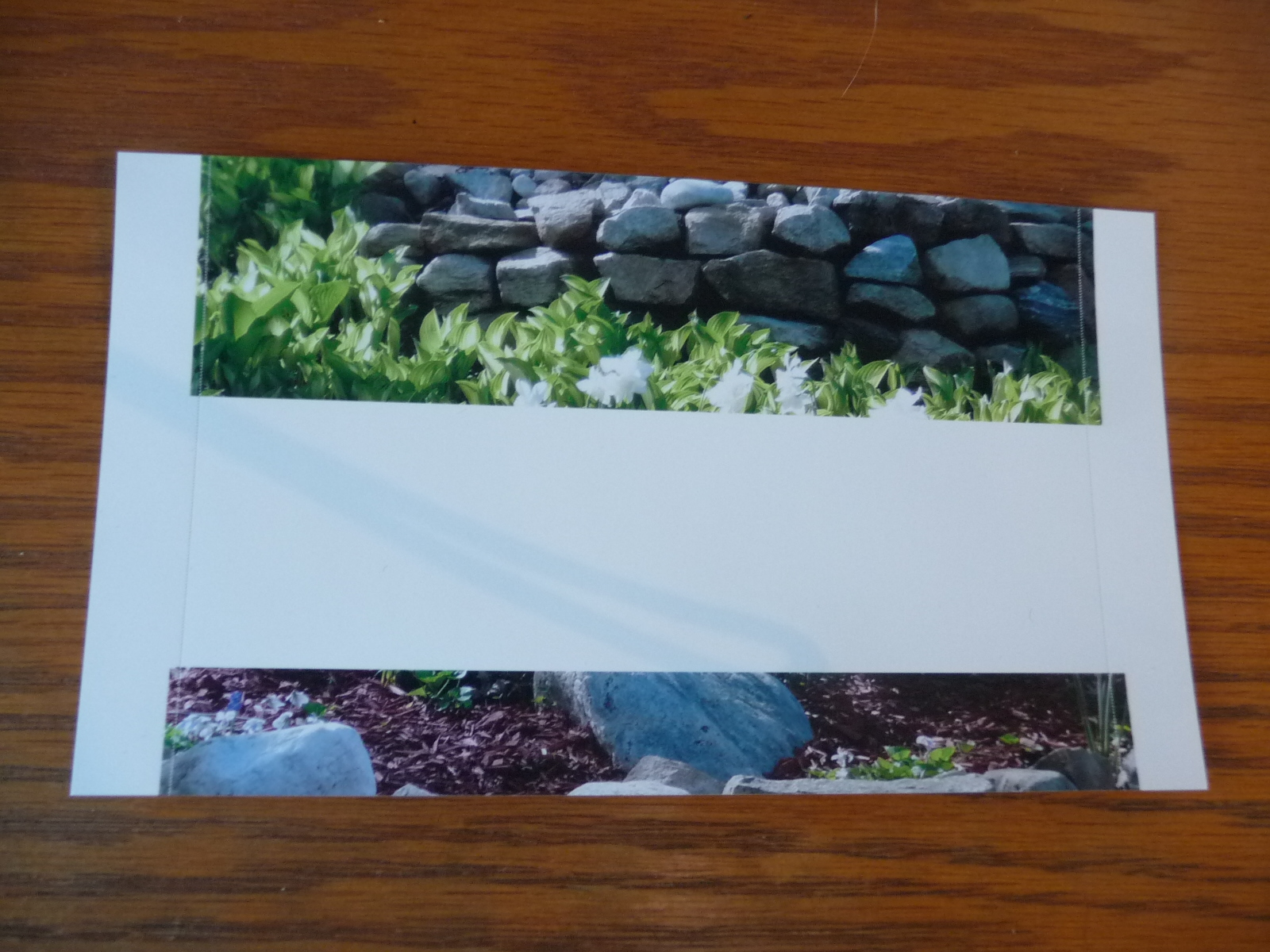 Solved: CP1300 Blank Strip - Canon Community