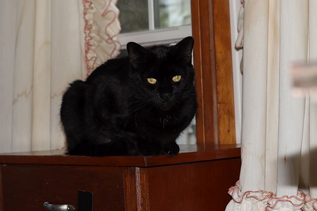 recommended tablet for remote shooting? - Canon Community