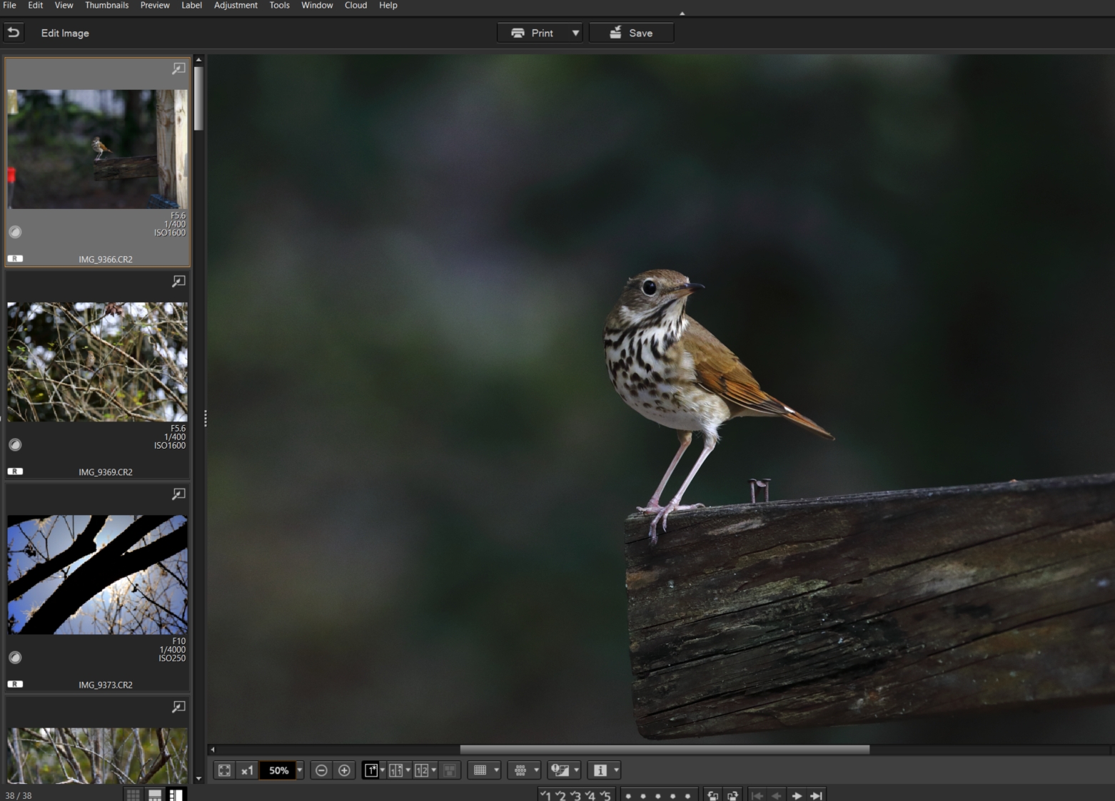Digital Photo Professional - Image scrolling shows... - Canon Community