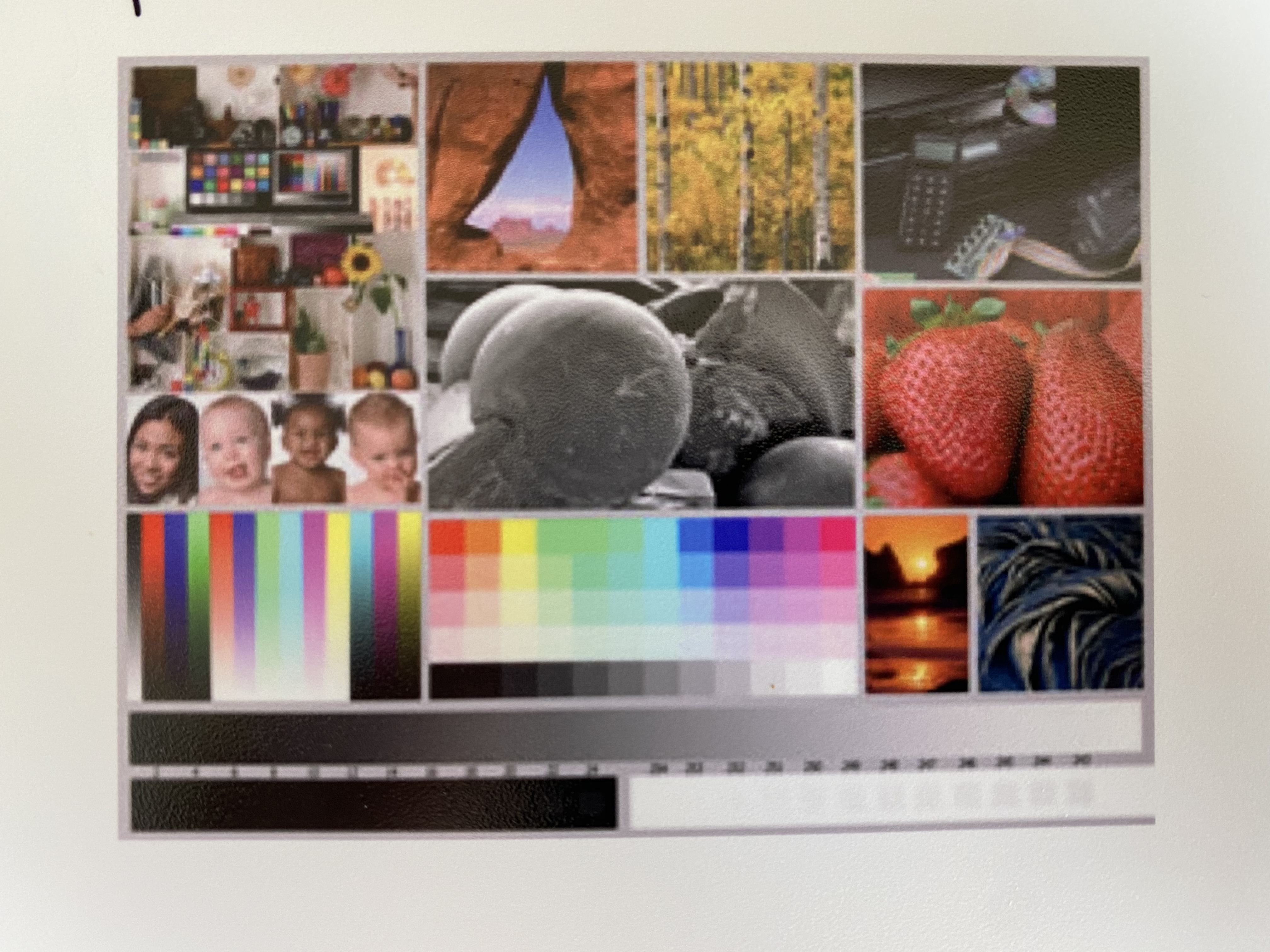 Canon Pro-10 Magenta Cast - Canon Community