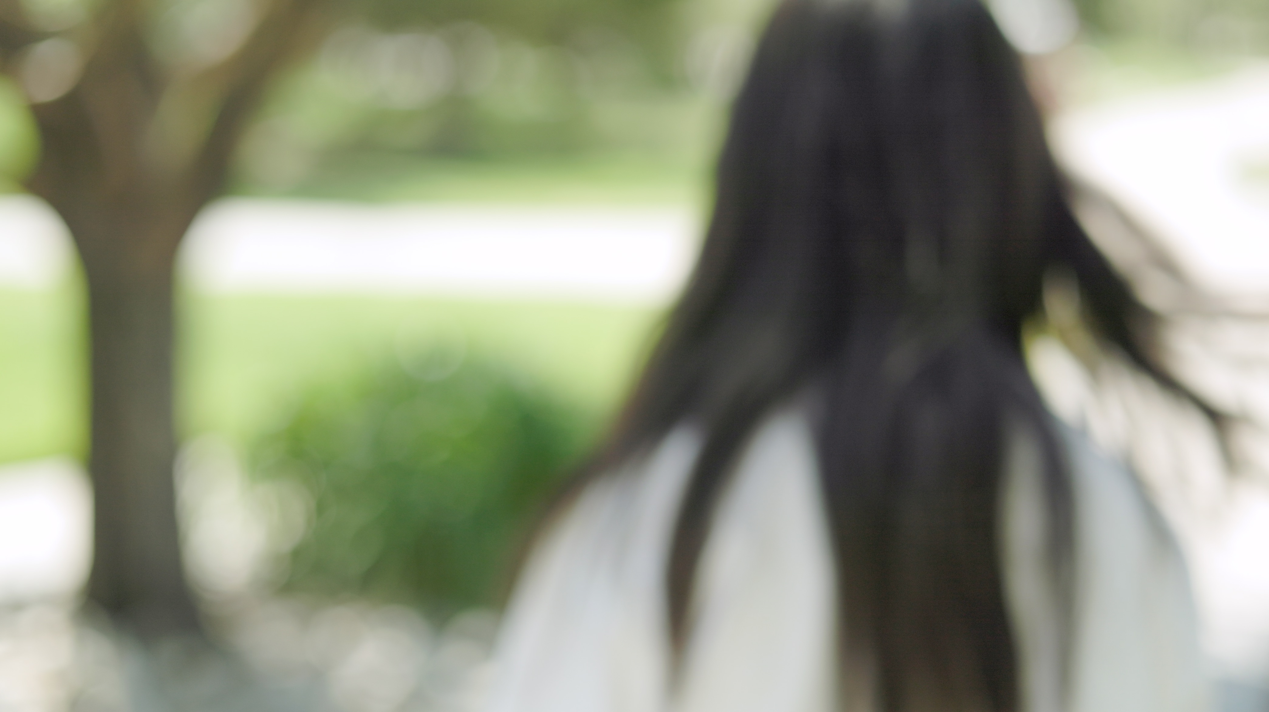 Canon R6 Sensor Banding? - Canon Community