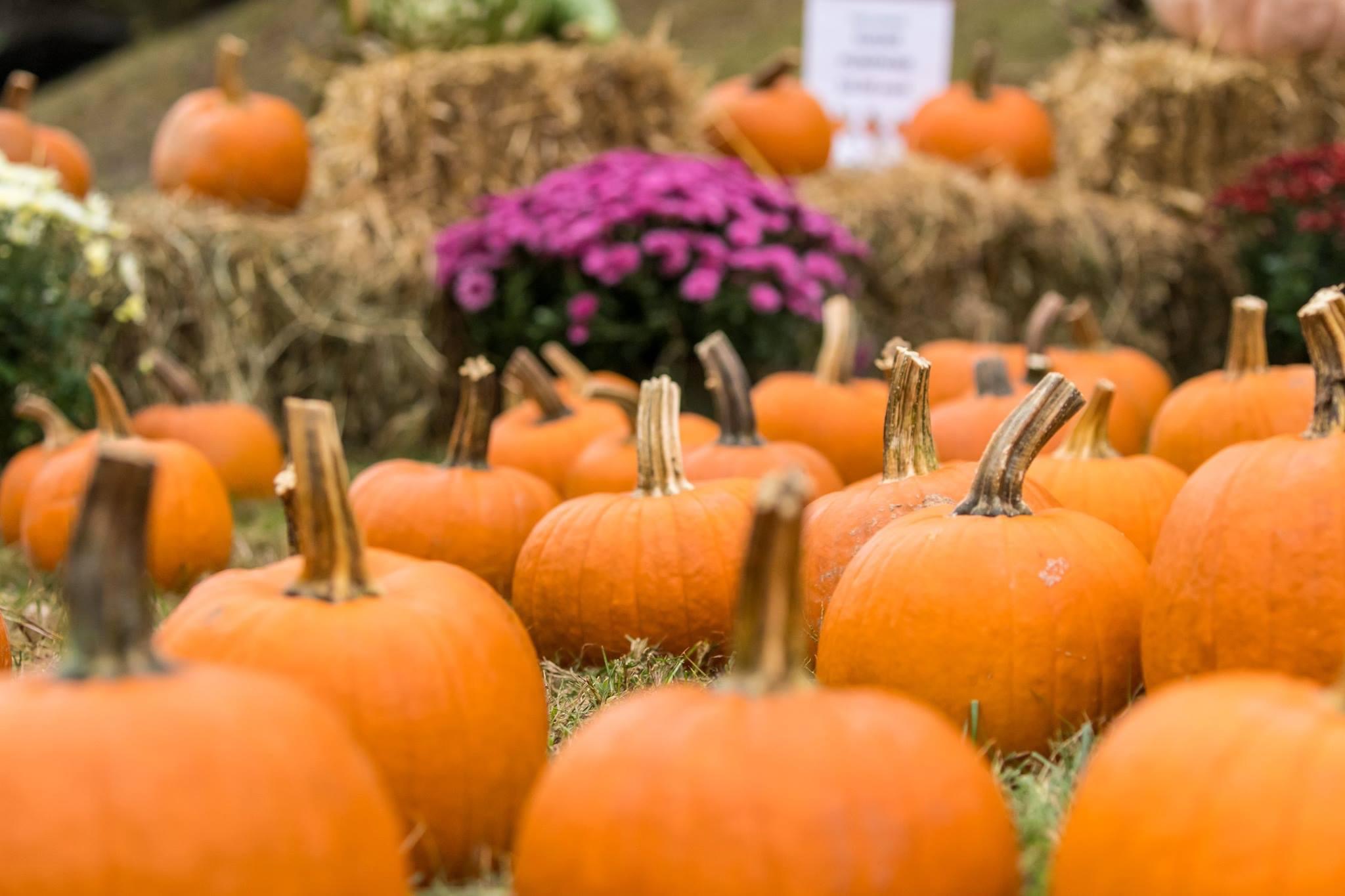 Canon 6D autofocus issue with all focus points - Canon Community