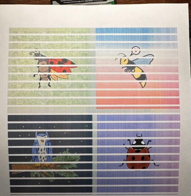Canon Color ImageClass LBP612CDW printing horizont... - Canon Community
