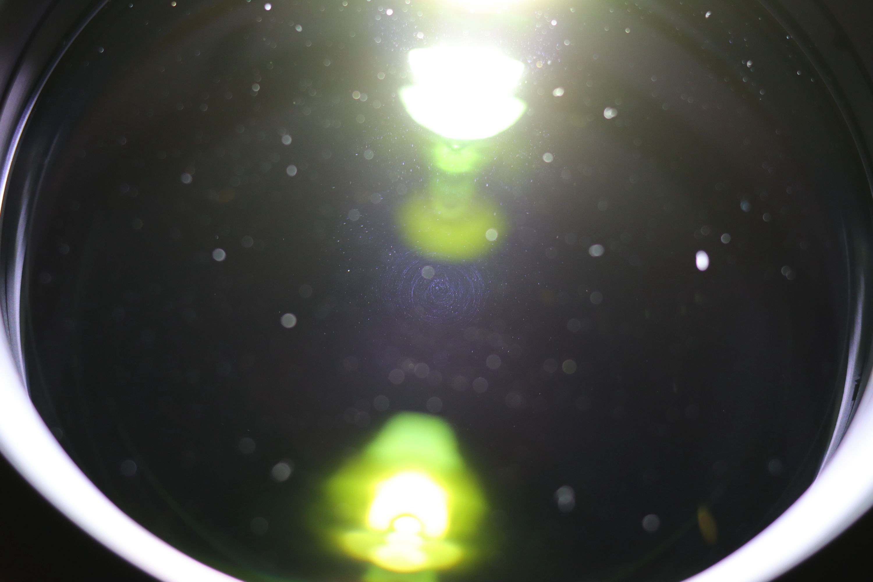 Marks on internal glass of Canon 200-400mm f4L? - Canon Community