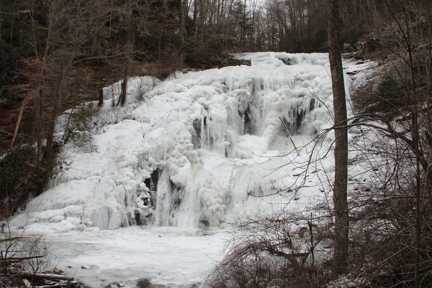 We had cold snap here in East Tennessee. Some Face... - Canon Community