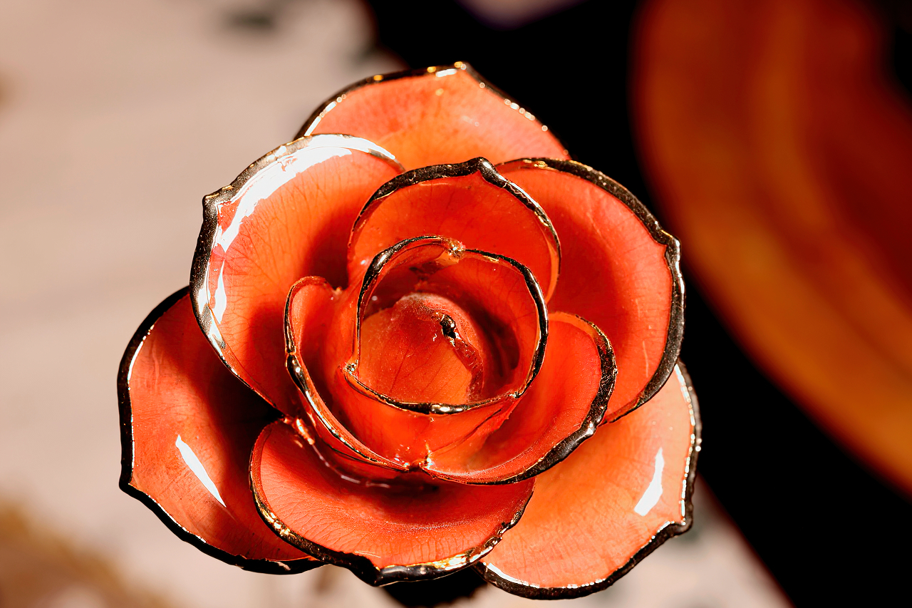 EOS R5 and IBIS High Res - Some Examples and My Th... - Canon Community