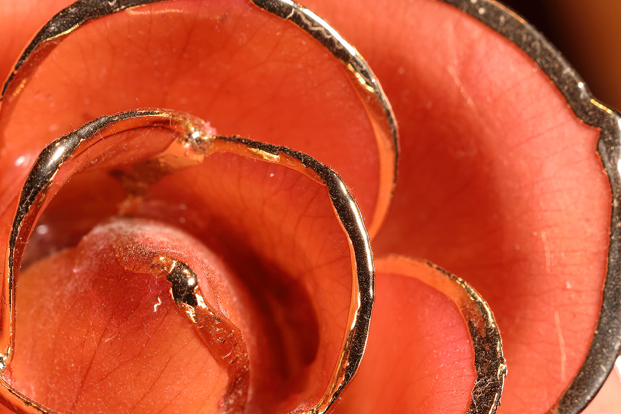 EOS R5 and IBIS High Res - Some Examples and My Th... - Canon Community