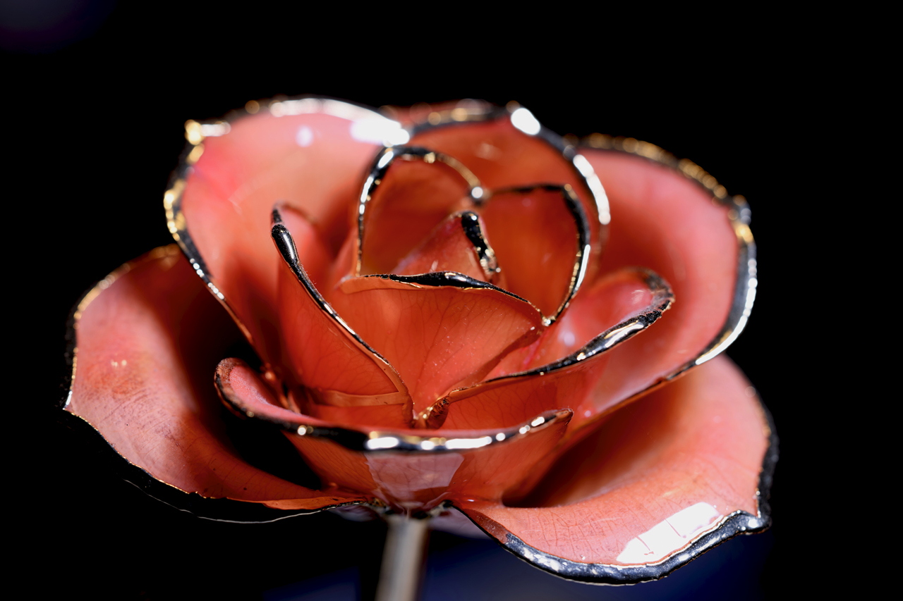 EOS R5 and IBIS High Res - Some Examples and My Th... - Canon Community