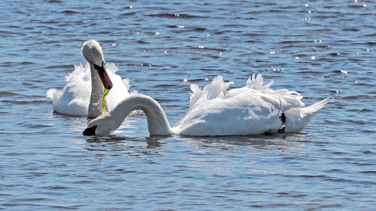 A test shoot withan EOS R7 paired with various Can... - Canon Community