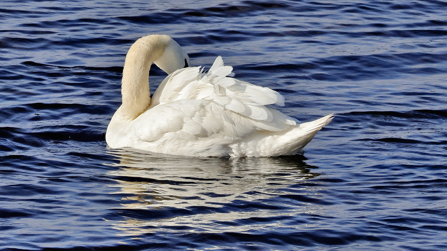 A test shoot withan EOS R7 paired with various Can... - Canon Community