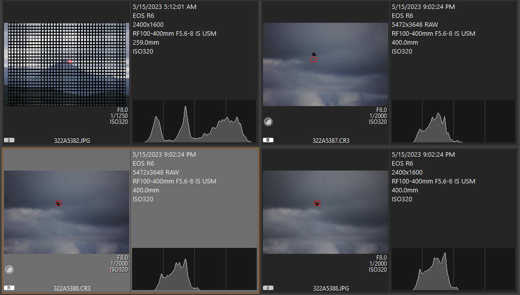 DPP Some Images Showing Grid Lines - Canon Community