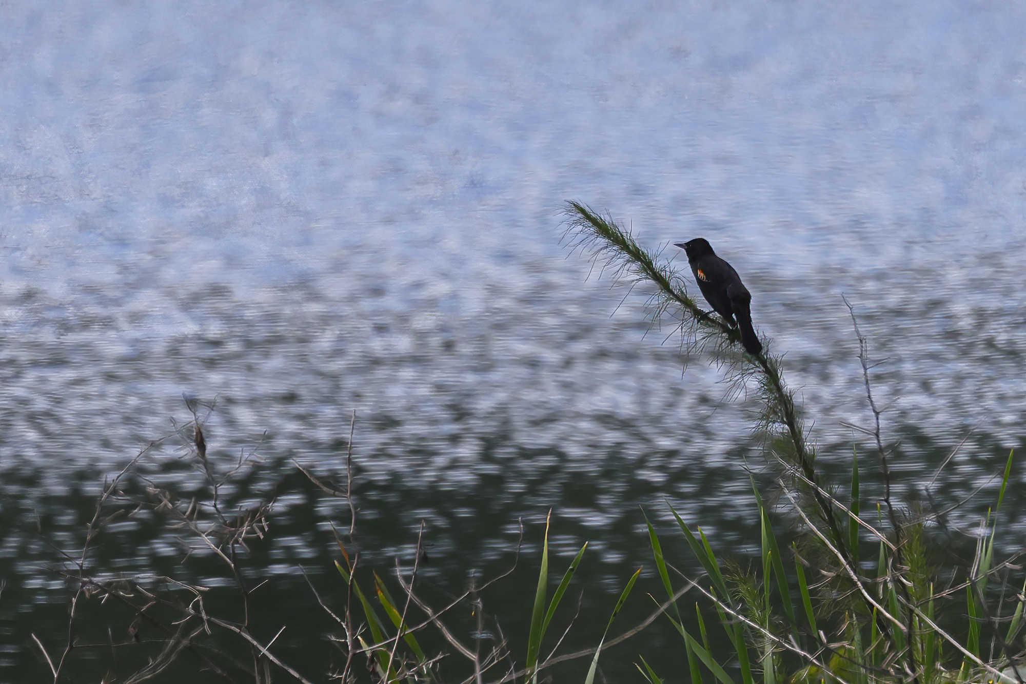 R5 - RF 100-500 and R6 II - RF 100-400 - Canon Community