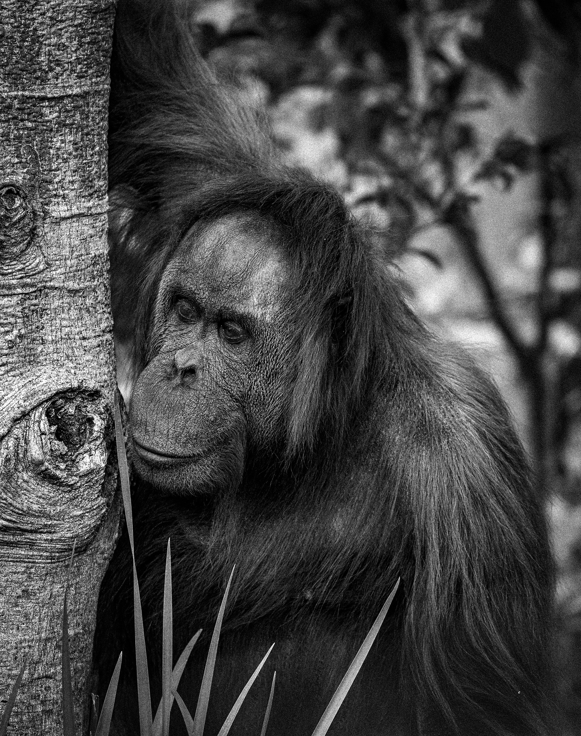 Find your Muse... - Canon Community