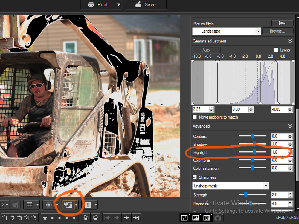 Solved: Strange Results Editing .CRW Files In DPP4 - Canon Community