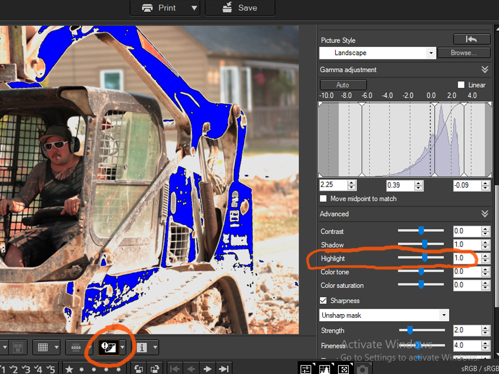 Solved: Strange Results Editing .CRW Files In DPP4 - Canon Community