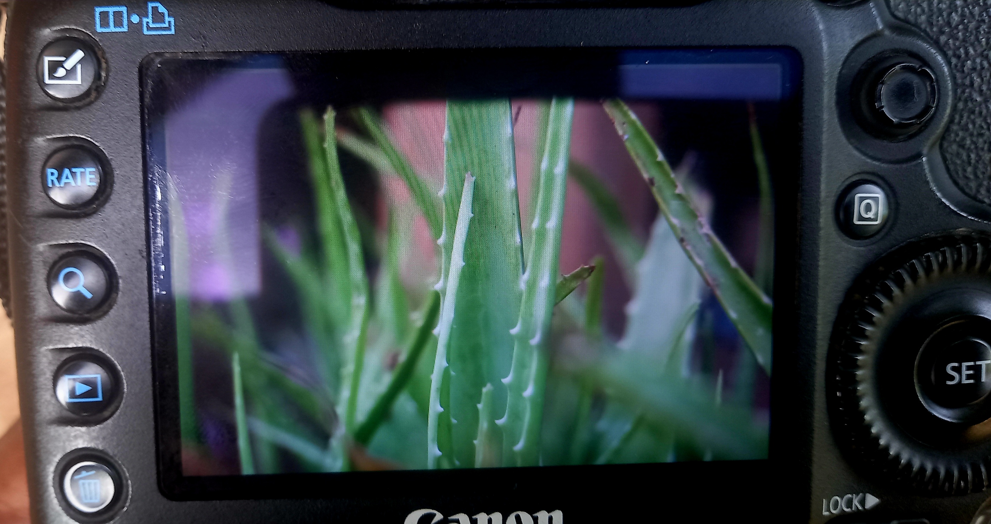 Black horizontal line on the top of the EOS 5D Mar... - Canon Community