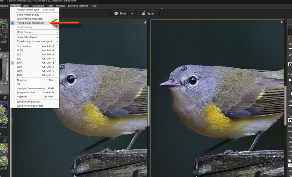 Solved: DPP4 Compare view with edits on RAW file - Canon Community
