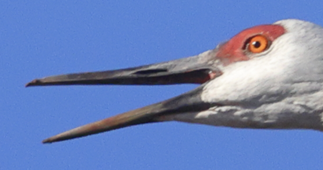 Re: Lens Extender compatibility - Canon Community