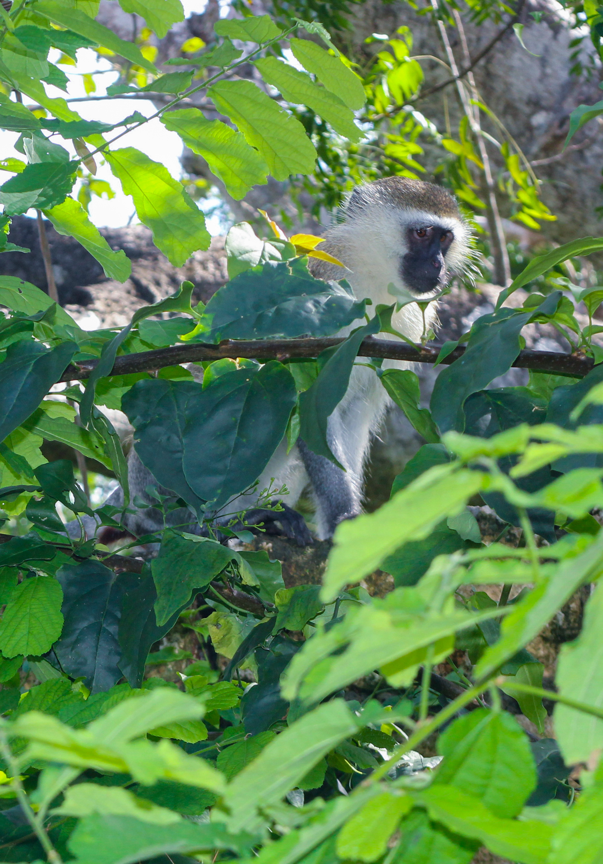 The Ecosystem - Canon Community