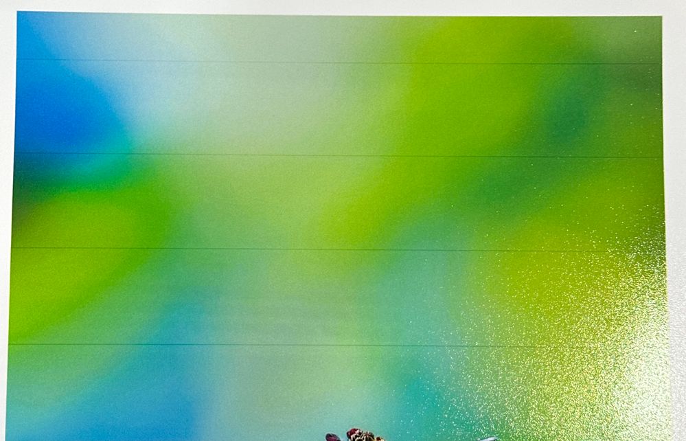 Re: Faint Black Print Lines from my Canon imagePRO... - Canon Community