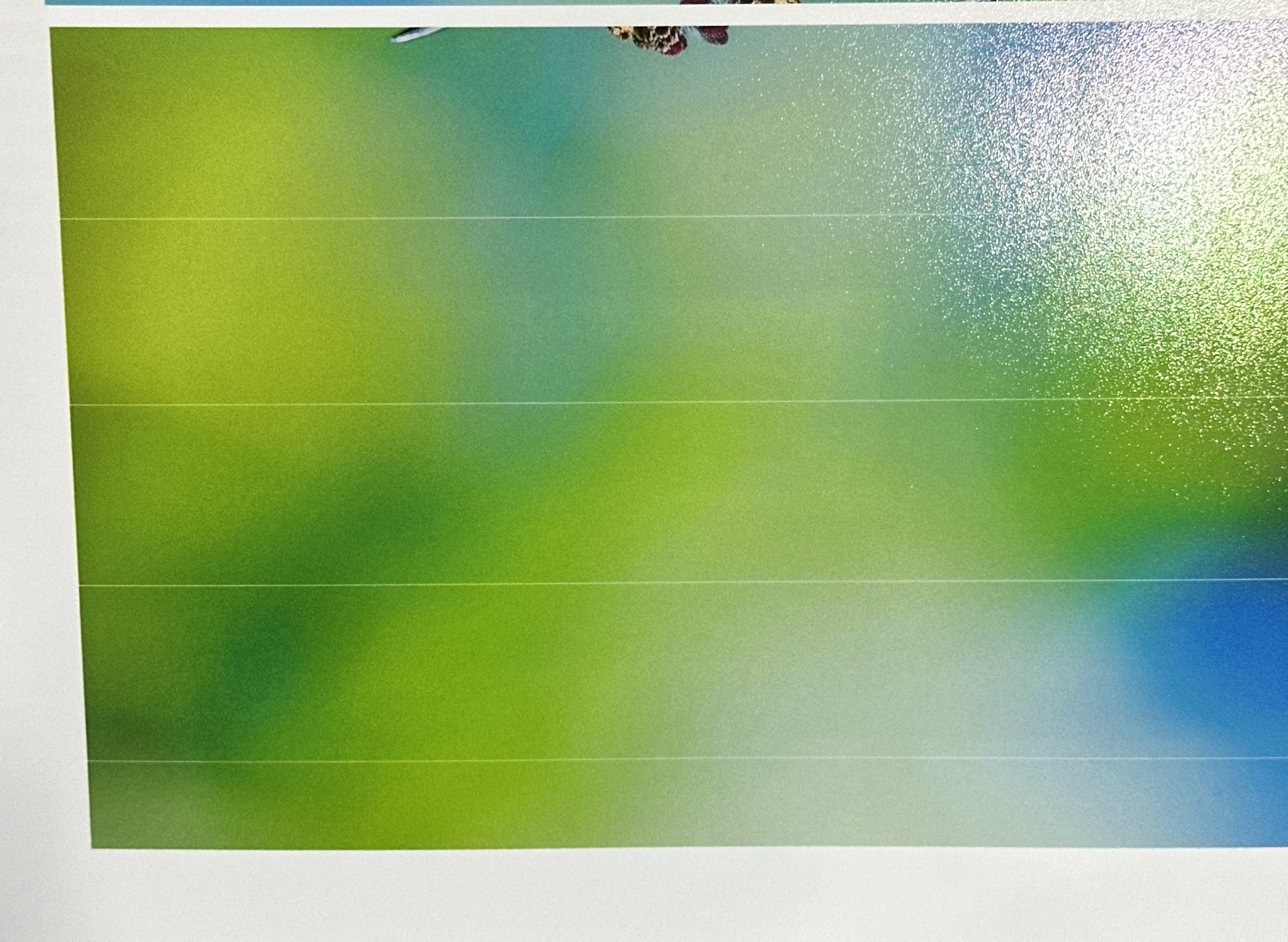 Faint Black Print Lines from my Canon imagePROGRAF... - Canon Community