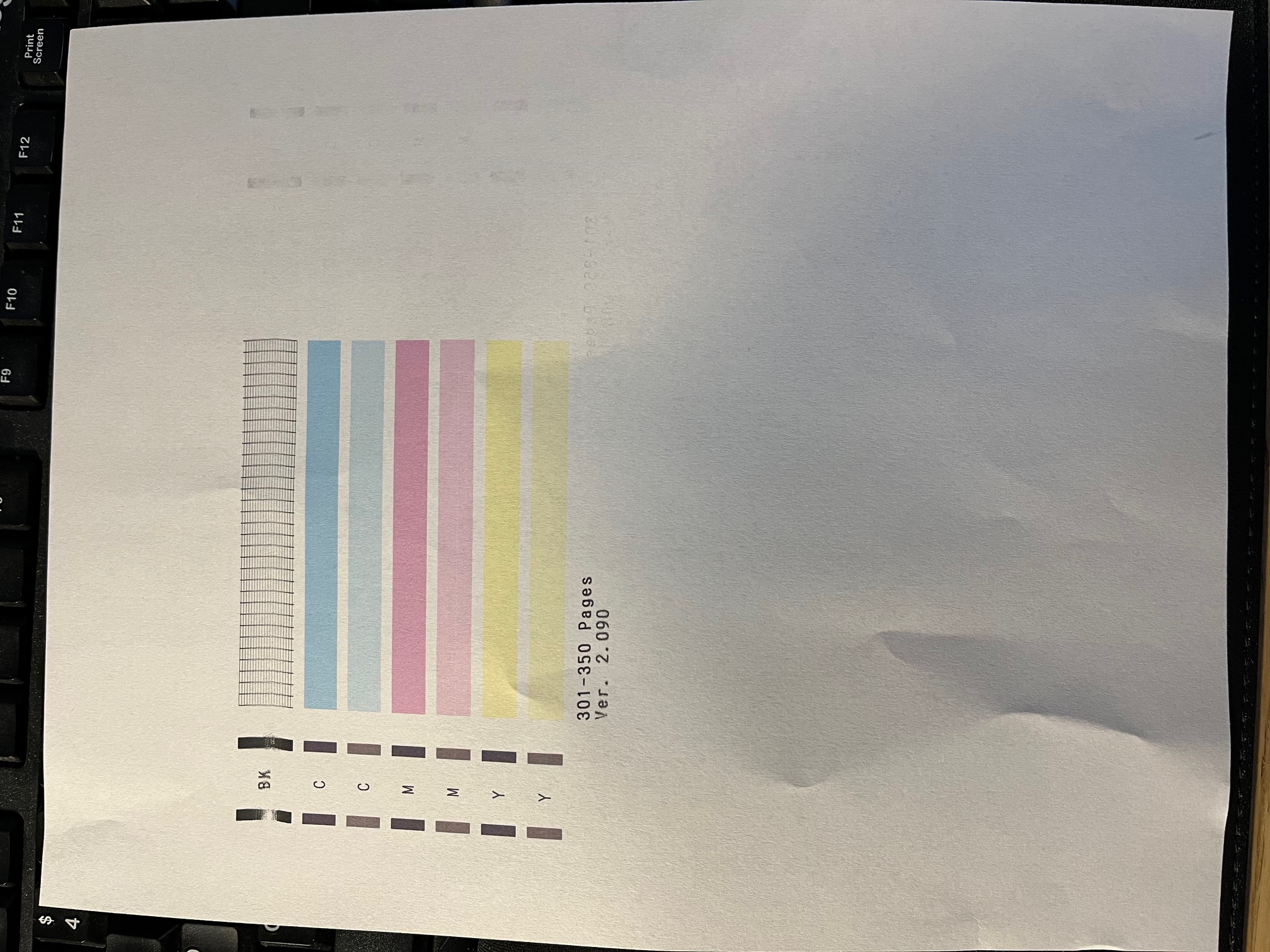PIXMA MG3620 Prints Blurry after only 1 Year - Canon Community