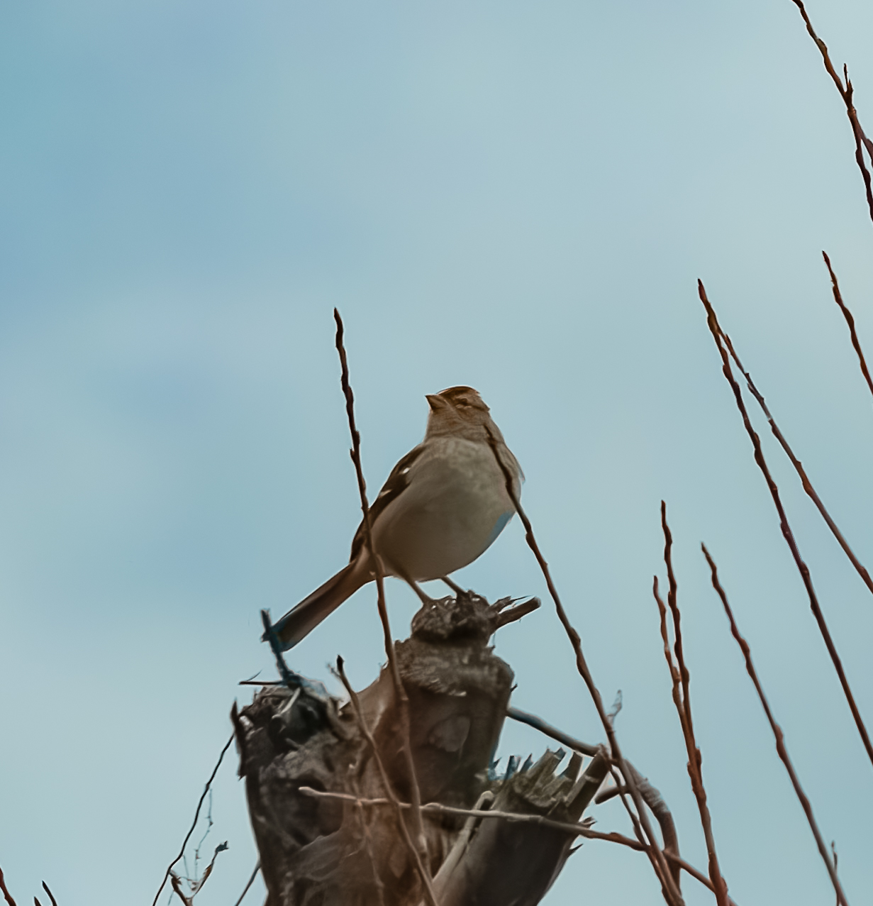 Just a few shots - Canon Community