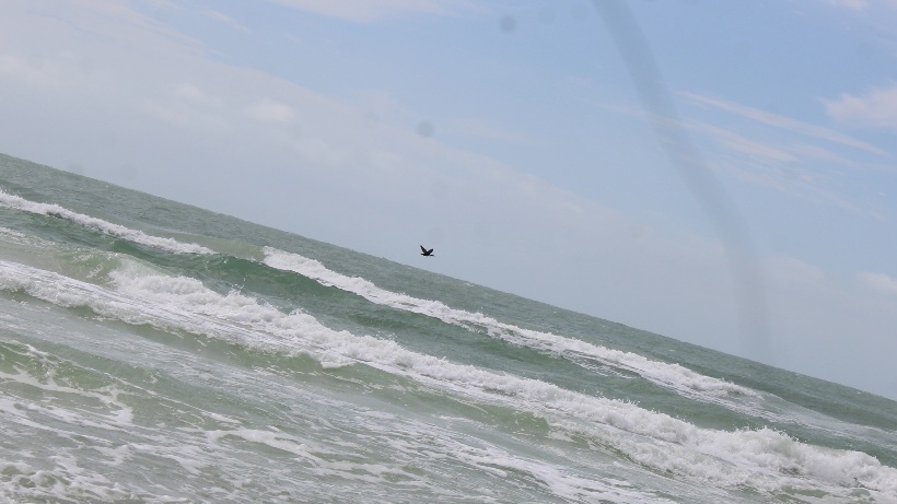 Canon DSLR camera. Lines in photos. - Canon Community