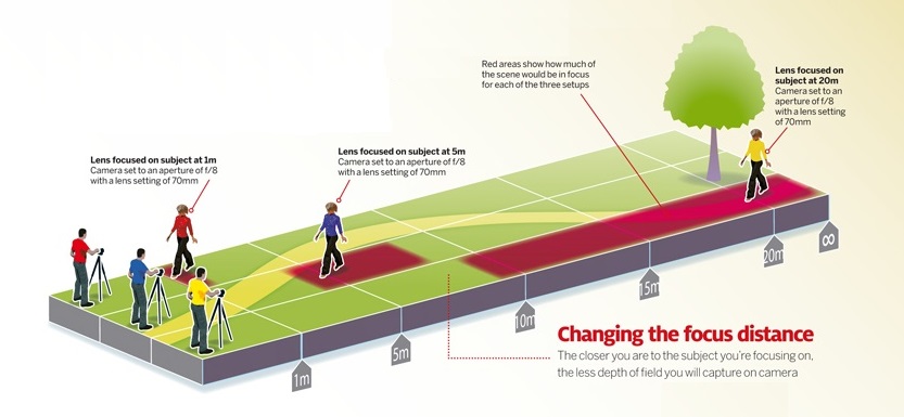 The Best Lenses for Minimal Depth of Field - Canon Community