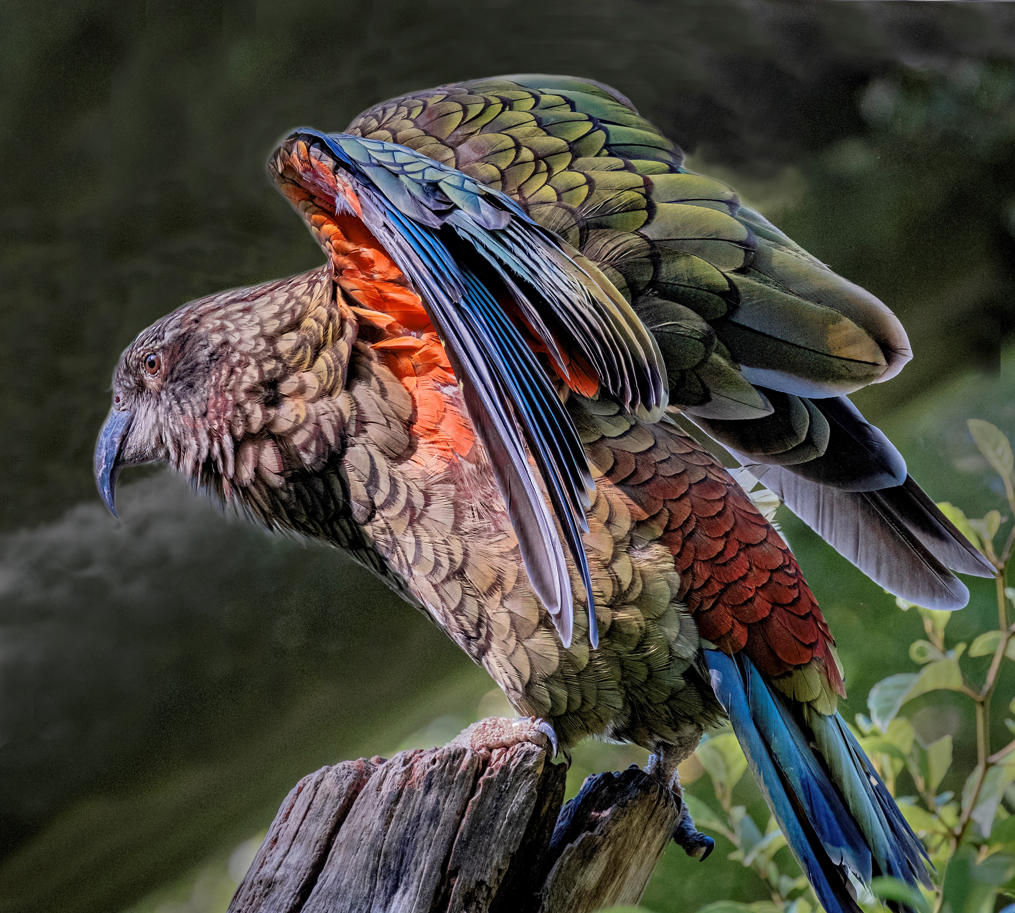 EOS R5 or R6 Shutter Button Metering Function When... - Canon Community