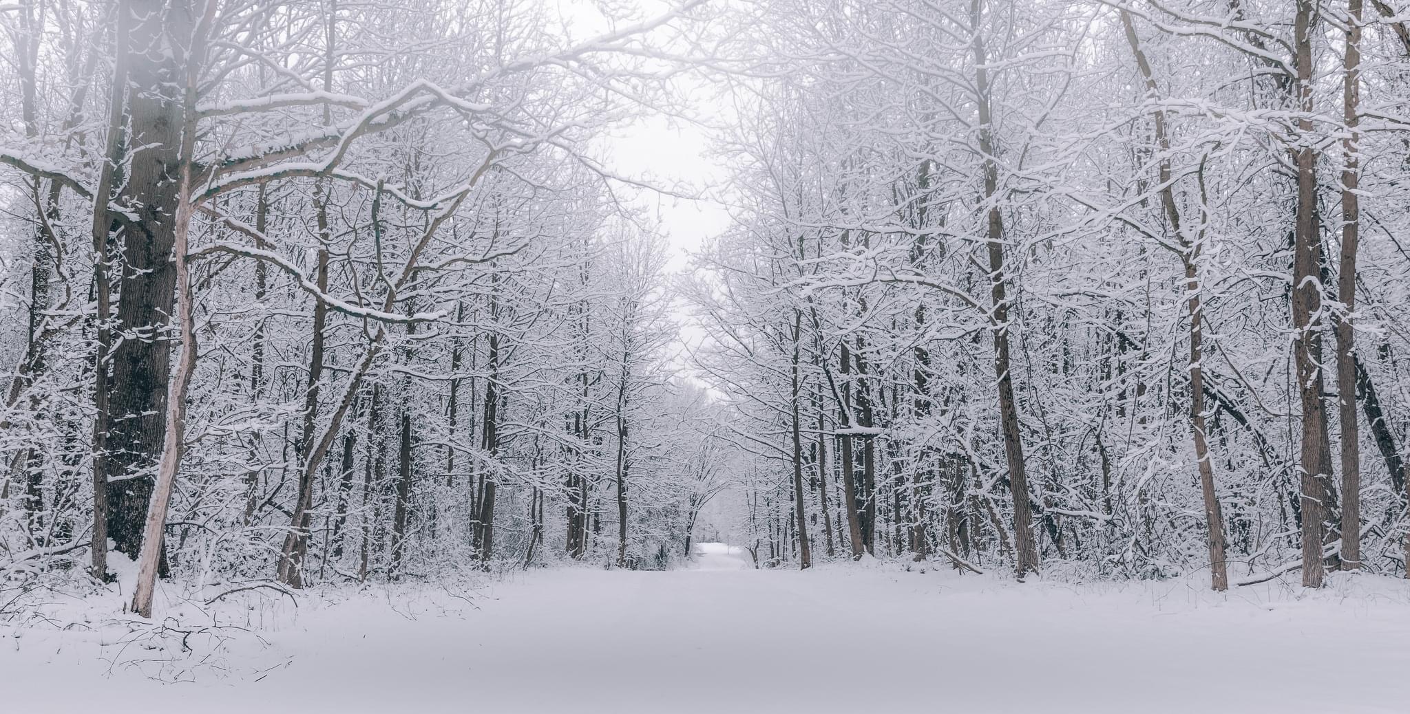 Morning fresh snow - Canon Community